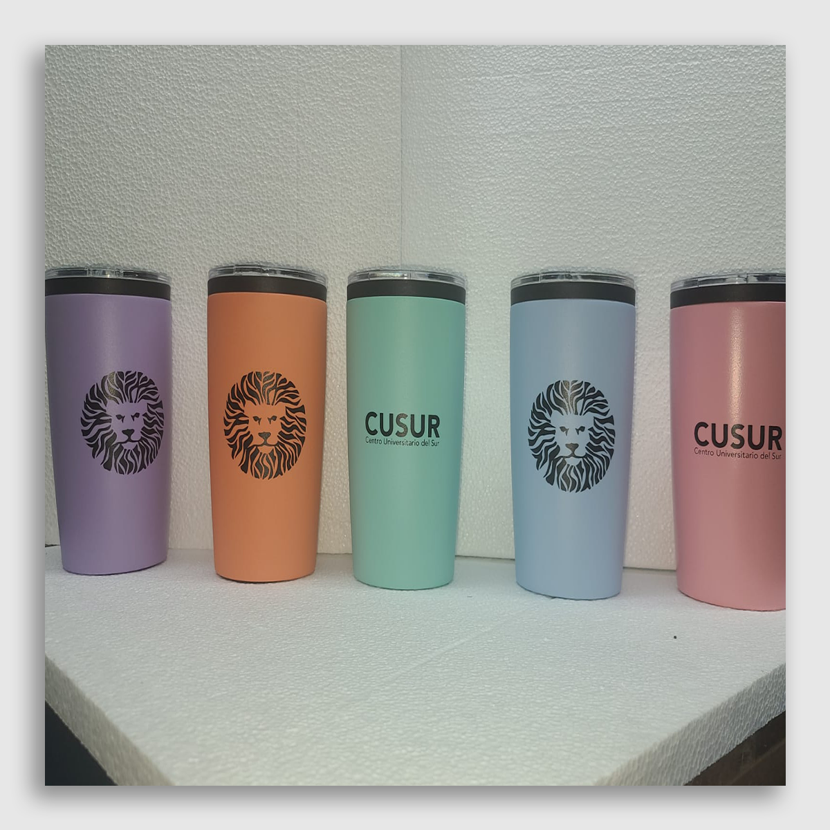 Tienda Identitas CUSur | Centro Universitario del Sur